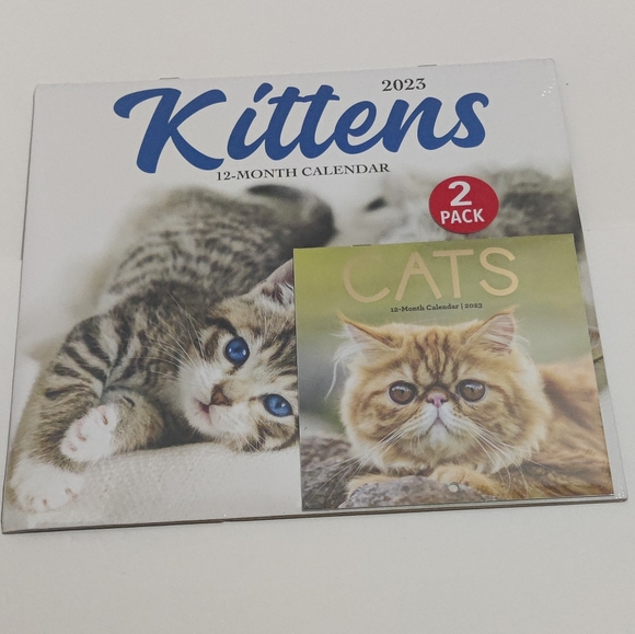 Jot | Office | 223 Kittens Cats 2 Month Wall Calendar 12 X 11 And Mini ...